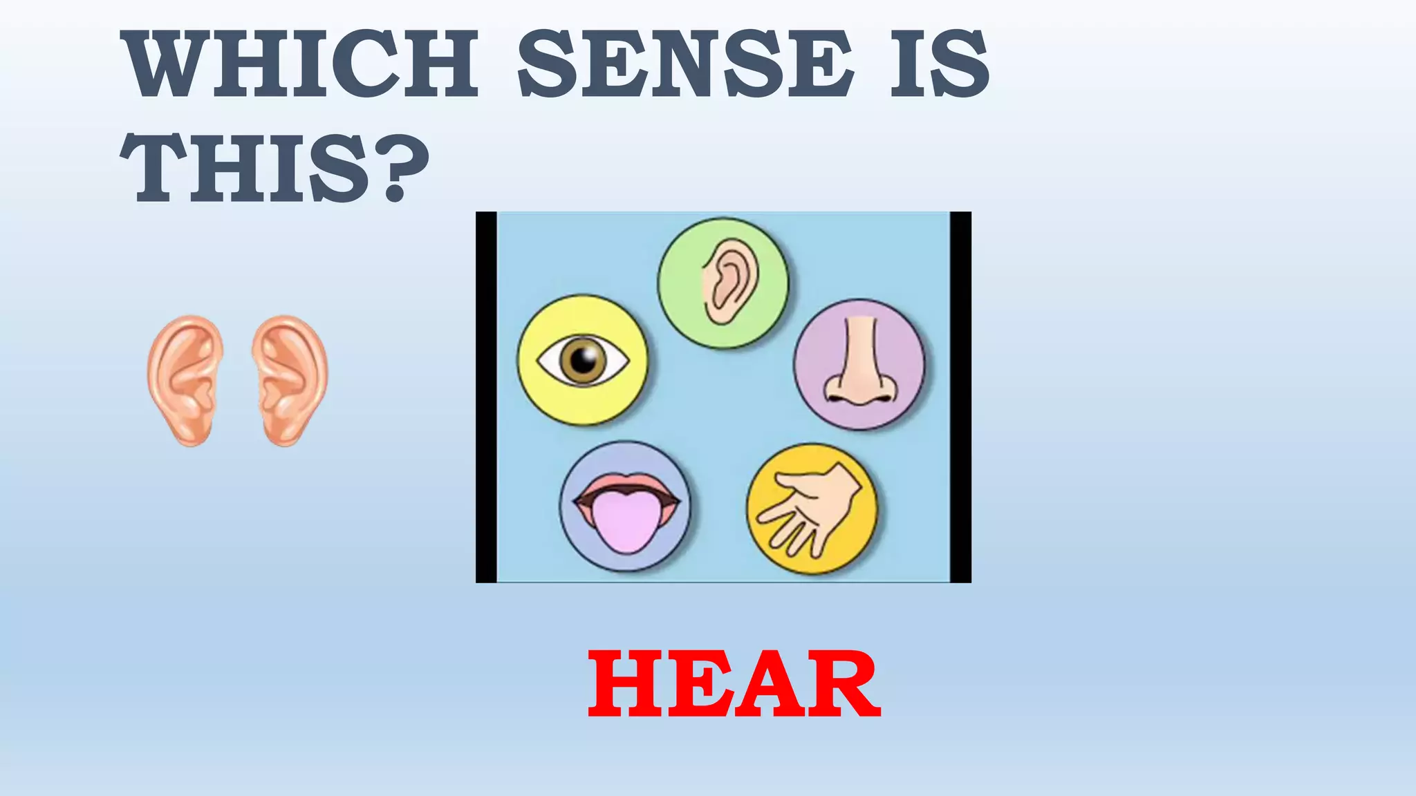 5 senses and bod parts | PPT