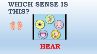 5 senses and bod parts | PPT