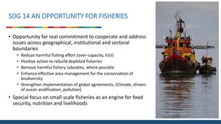 How the International Community can support small-scale fisheries ...