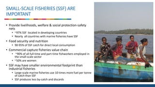 How the International Community can support small-scale fisheries ...