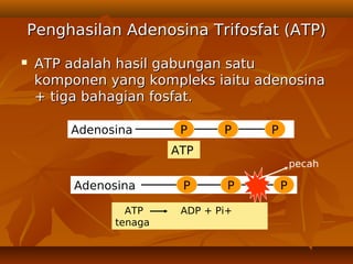 5 sistem-tenaga-tingkatan-4 | PDF