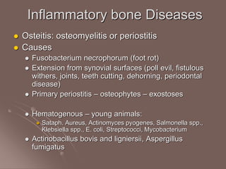 Veterinary Pathology of Skeletal system | PPT