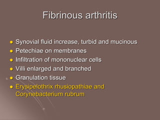 Veterinary Pathology of Skeletal system | PPT