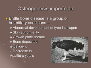 Veterinary Pathology of Skeletal system | PPT