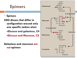5-structure and functoins of carbohydrates.ppt | Chemistry | Science
