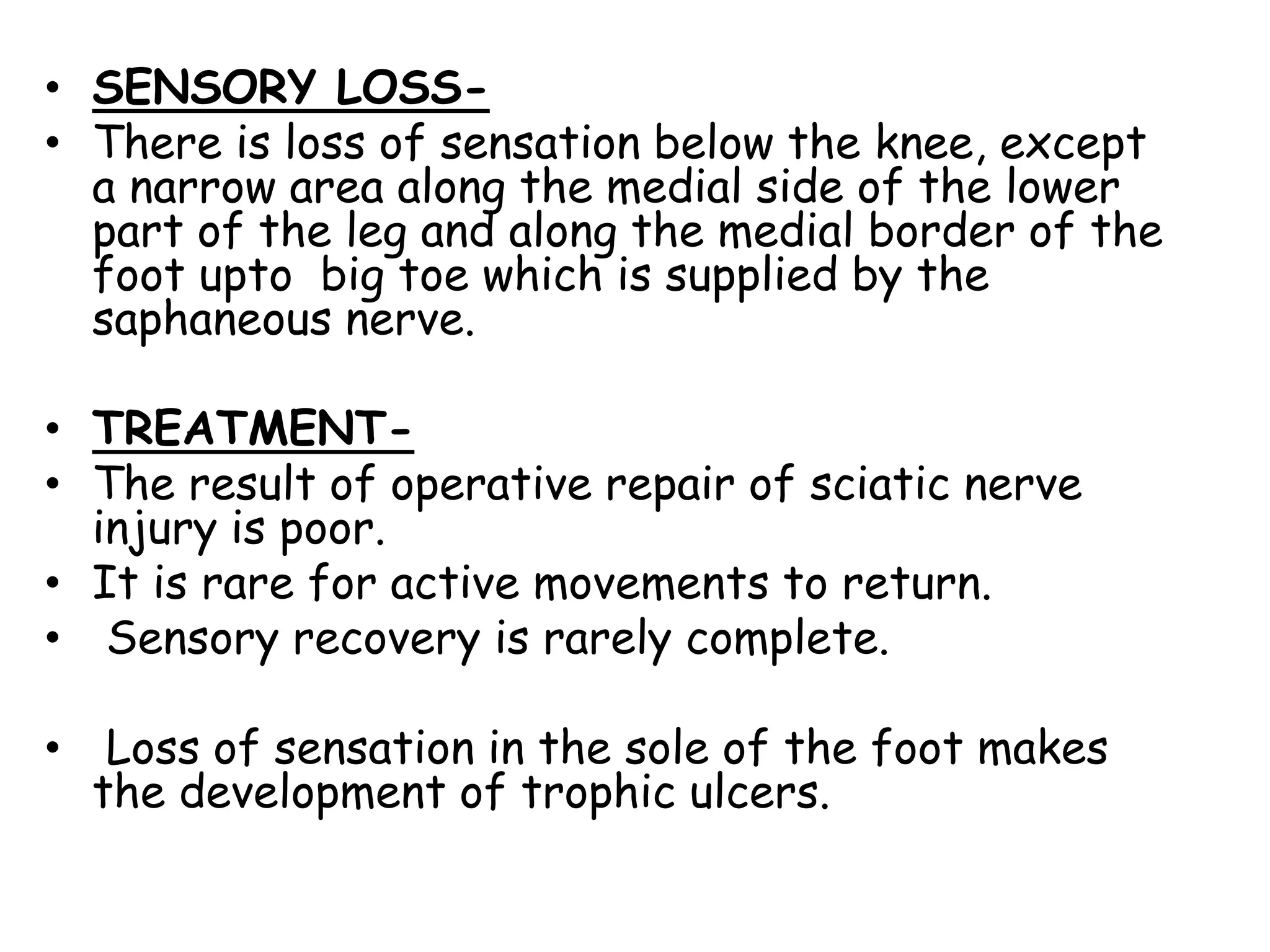 5 st under gluteus maximus obturator nerve | PPTX