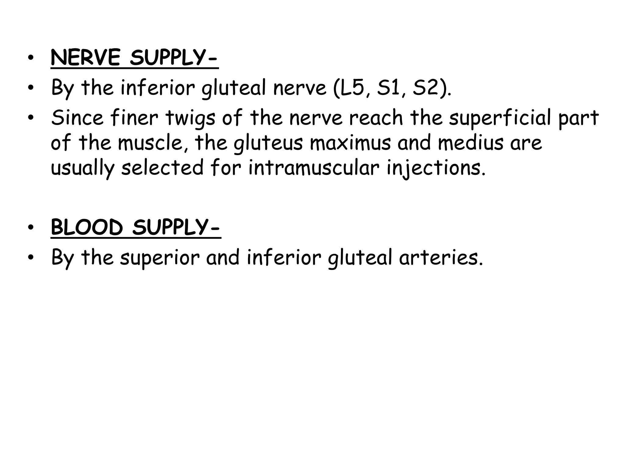 5 st under gluteus maximus obturator nerve | PPTX