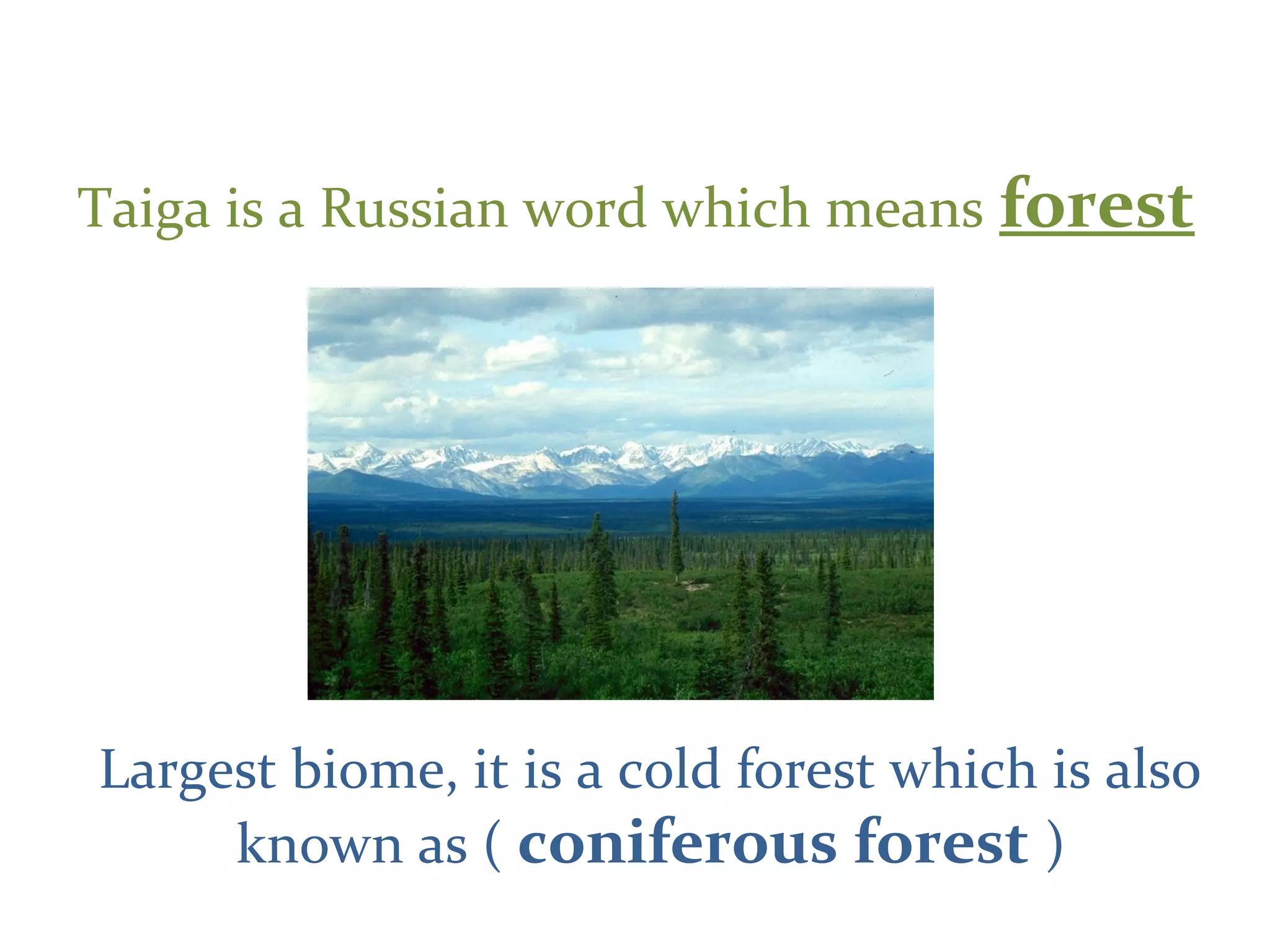 5 taiga biome | PPT
