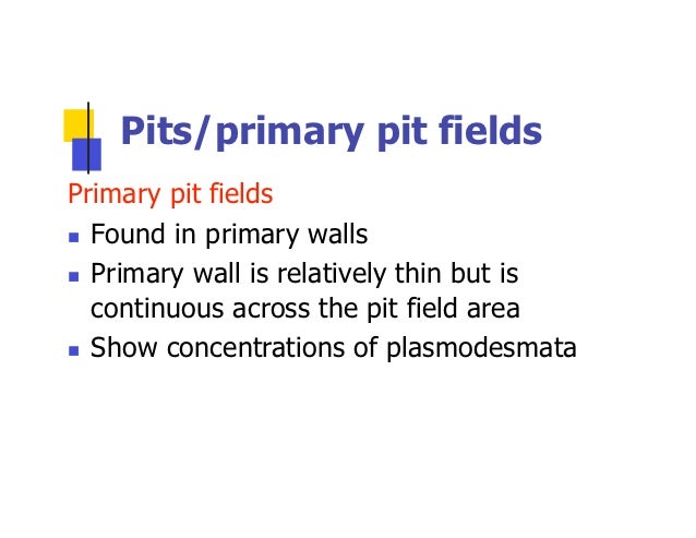 Lesson 5 bio101 (c)Dr. Evangelista