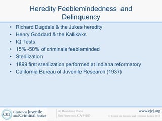 5. the early juvenile court | PPTX