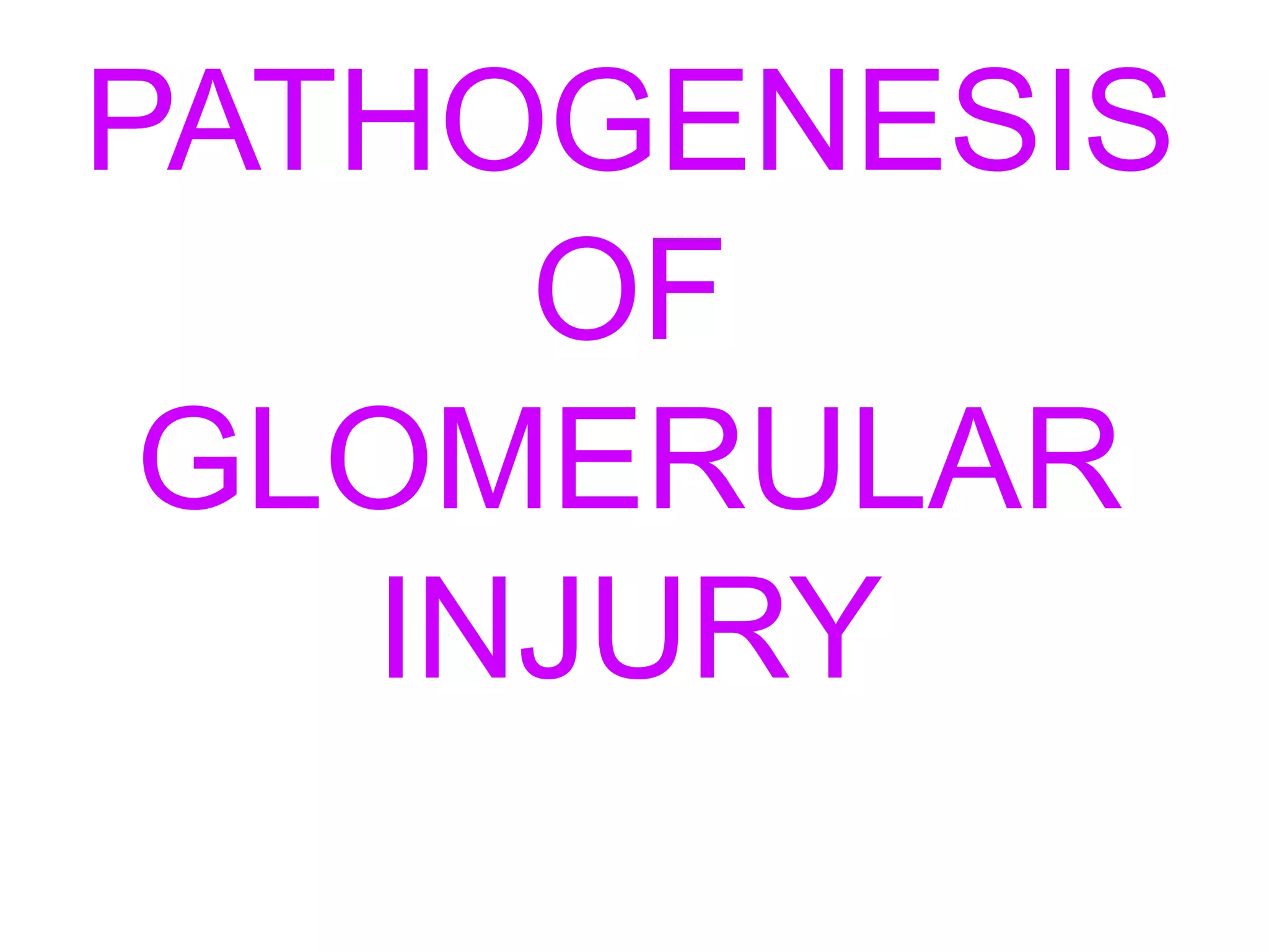 The Kidney - GLOMERULAR DISEASES | PPTX