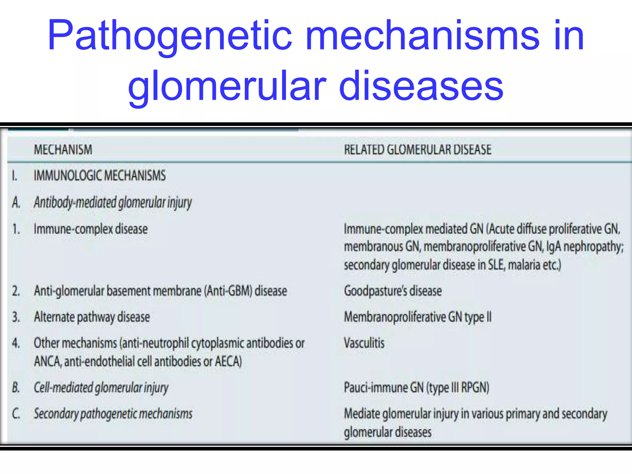 The Kidney - GLOMERULAR DISEASES | PPTX
