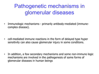 The Kidney - GLOMERULAR DISEASES | PPTX
