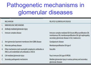 The Kidney - GLOMERULAR DISEASES | PPTX