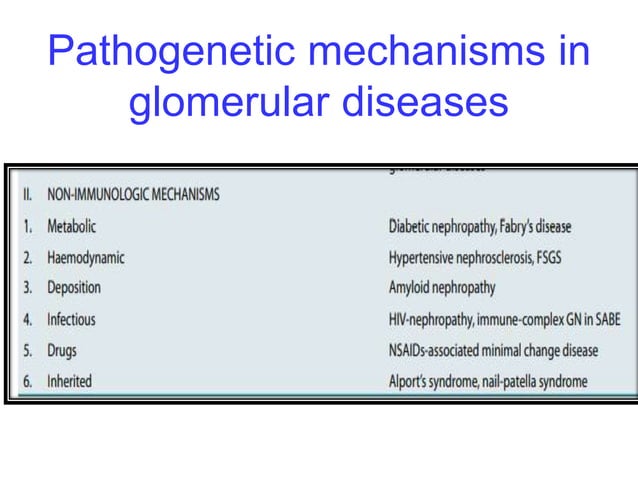The Kidney - GLOMERULAR DISEASES | PPTX | Blood Disorders | Diseases and Conditions