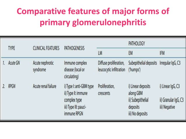 The Kidney - GLOMERULAR DISEASES | PPTX | Blood Disorders | Diseases and Conditions