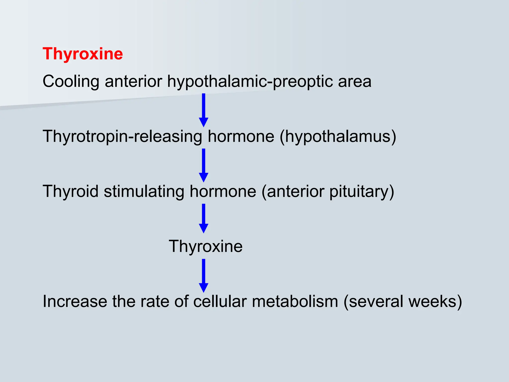 Thermoregulation pathophysiology and FUO work up | PPT