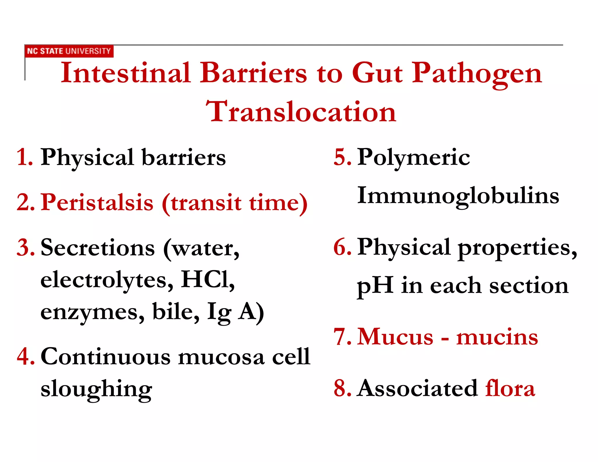 The role of intestinal health in broiler production - e. o. oviedo at ...