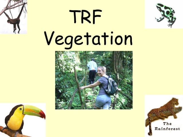 5 trf adaptation | PPT