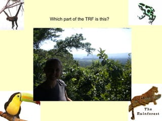 5 trf adaptation | PPT