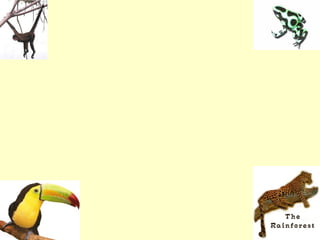 5 trf adaptation | PPT