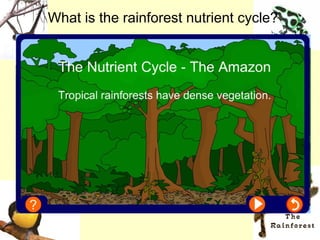 5 trf adaptation | PPT