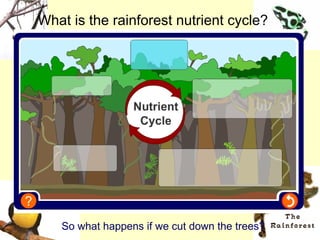 5 trf adaptation | PPT