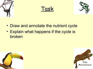 5 trf adaptation | PPT