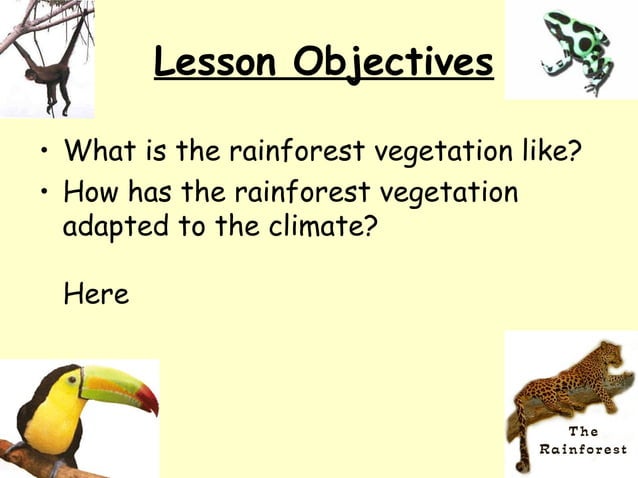 5 trf adaptation | PPT