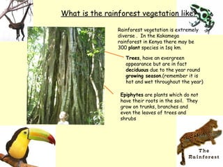 5 trf adaptation | PPT