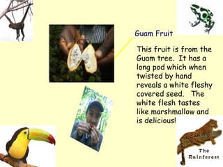 5 trf adaptation | PPT