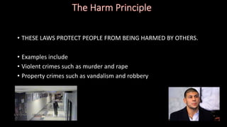 5 types of Law | PPT