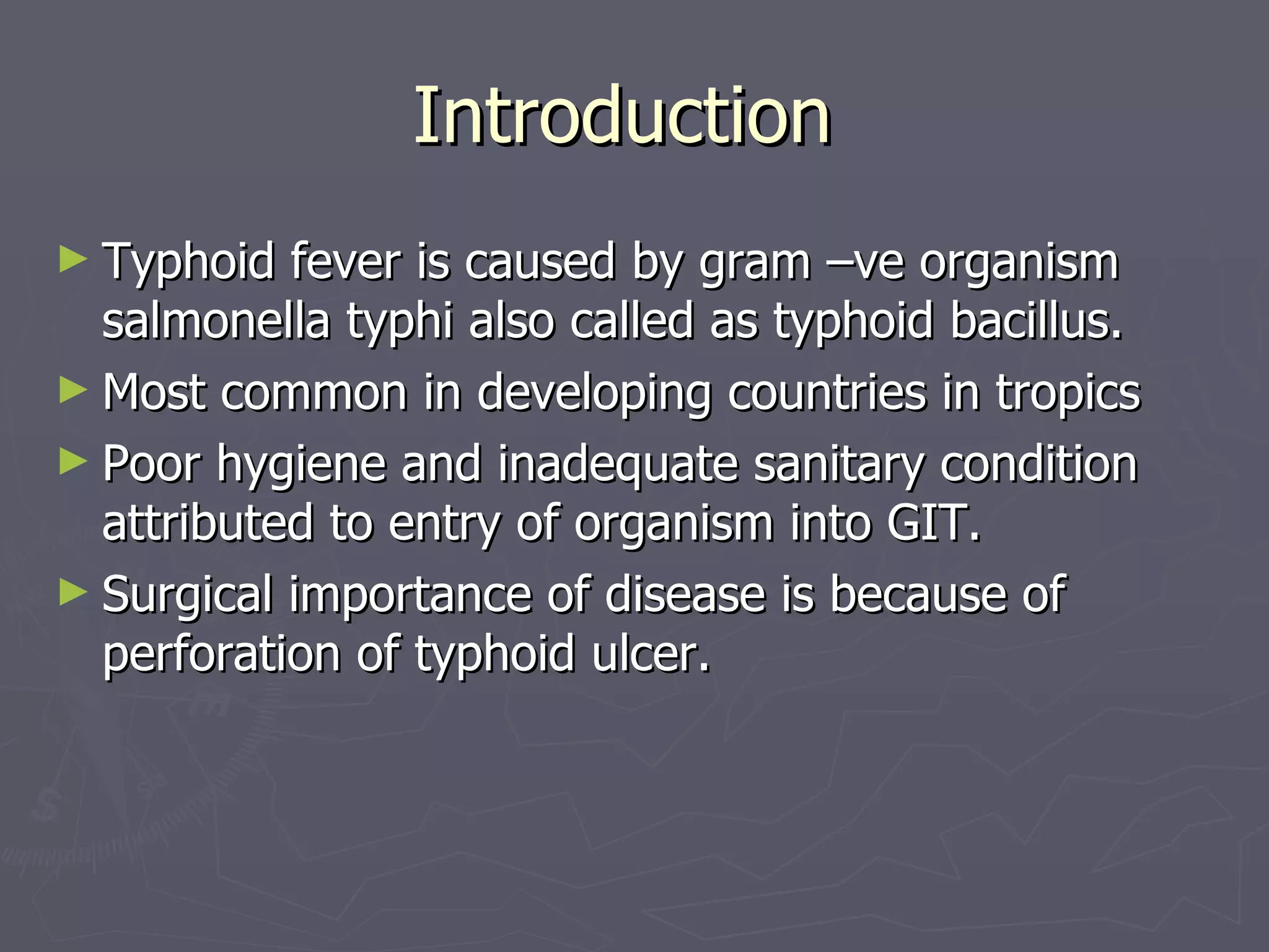 Typhoid | PPT