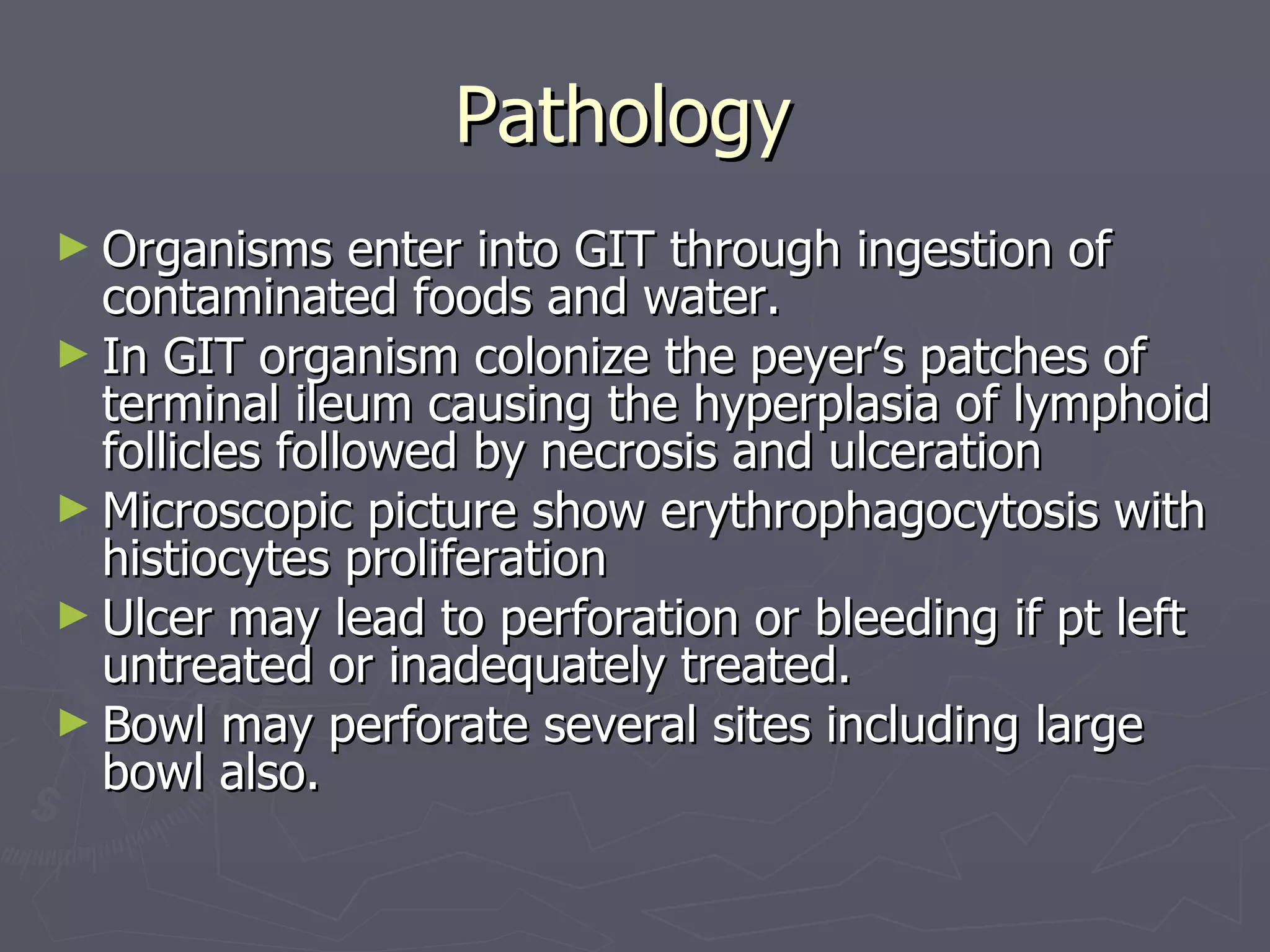 Typhoid | PPT