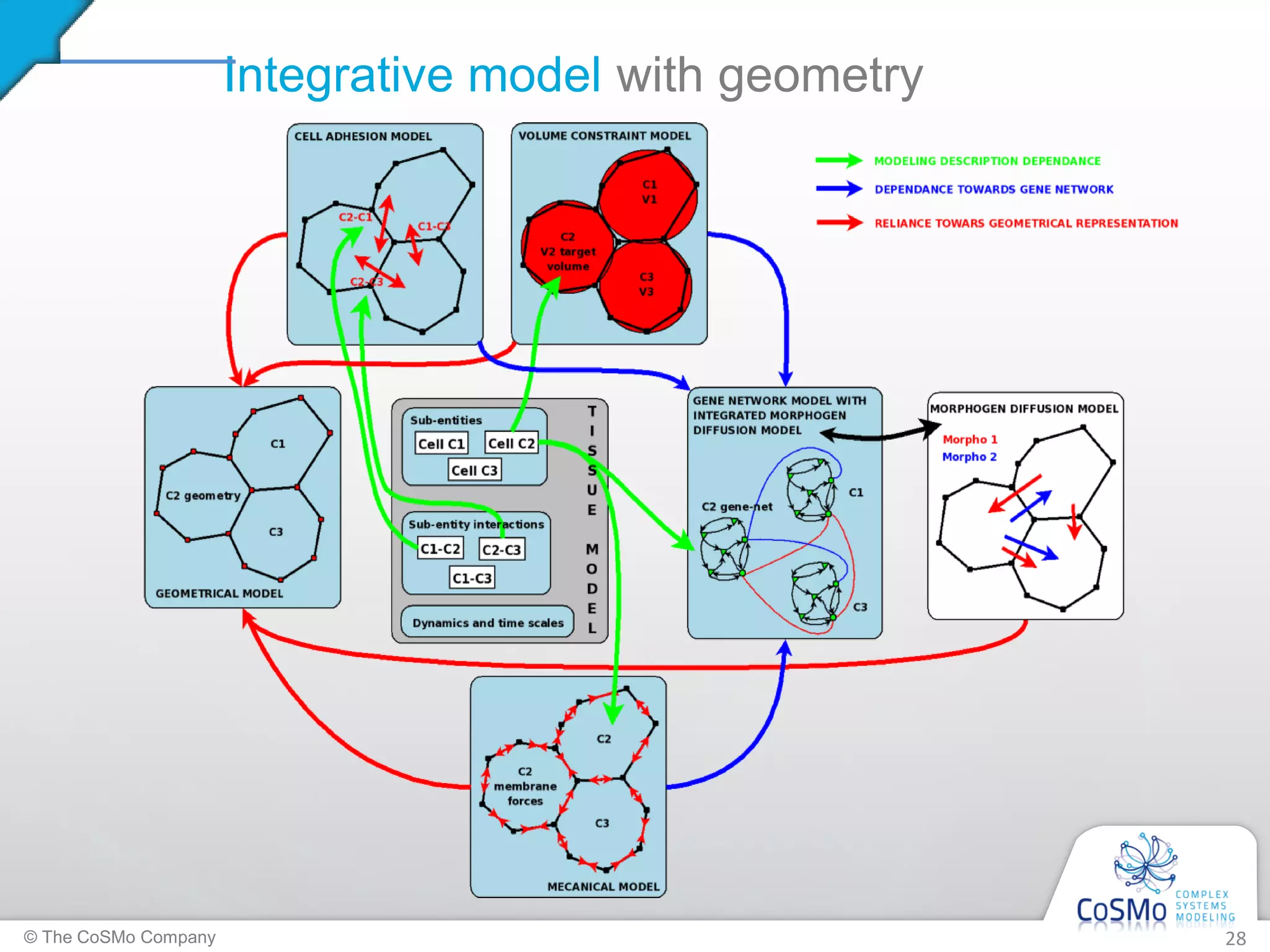 Understanding and predicting biological complex system. | PDF