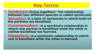 GBSN_Unit 5 - Human and Microbial interaction | PPTX