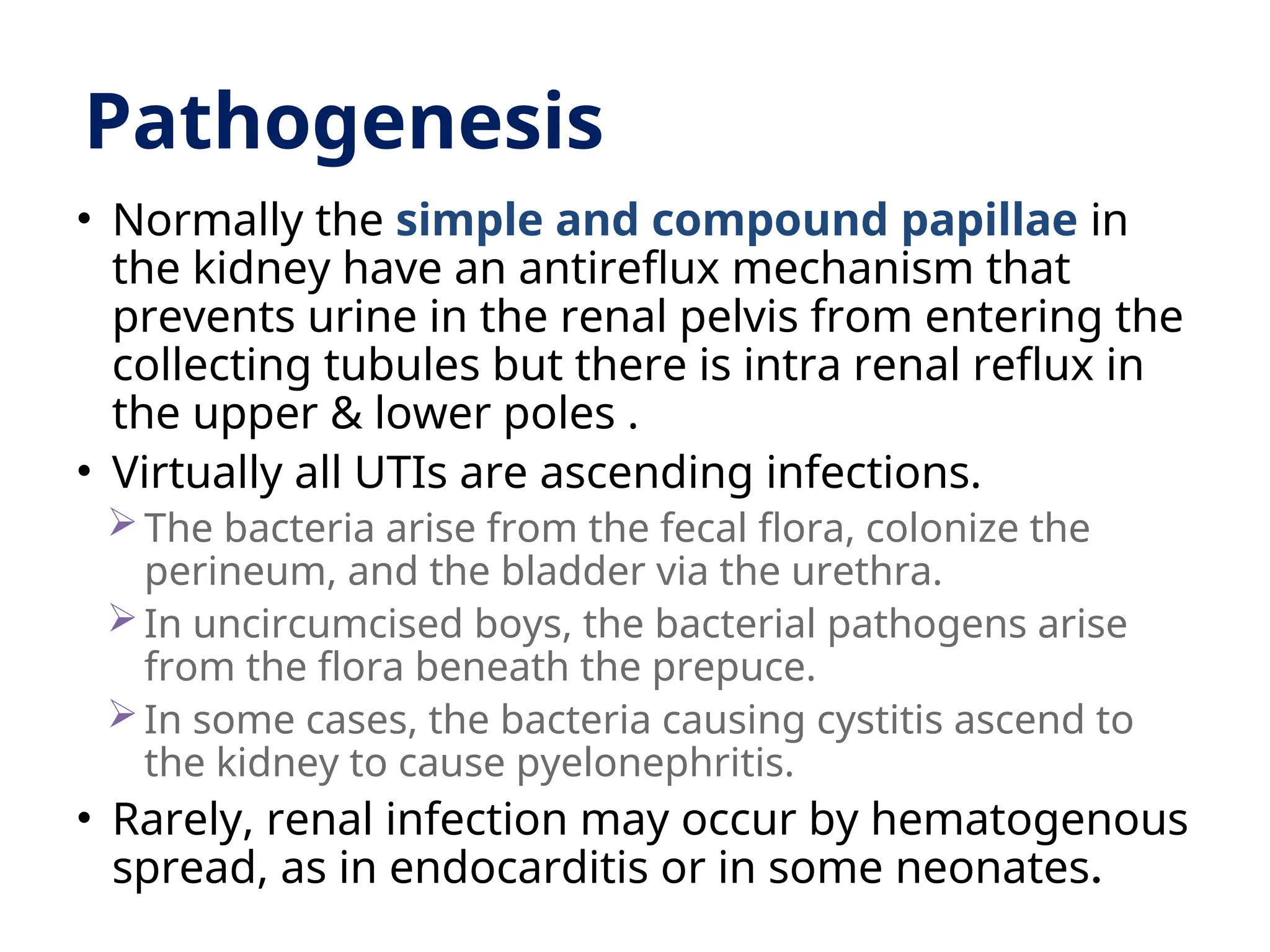 5-Urinary tract infections in children.ppt