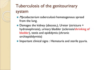 5-Urology- Uti.pptx