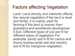 50. wildlife and natural vegetation A Presentation By Mr. Allah dad ...