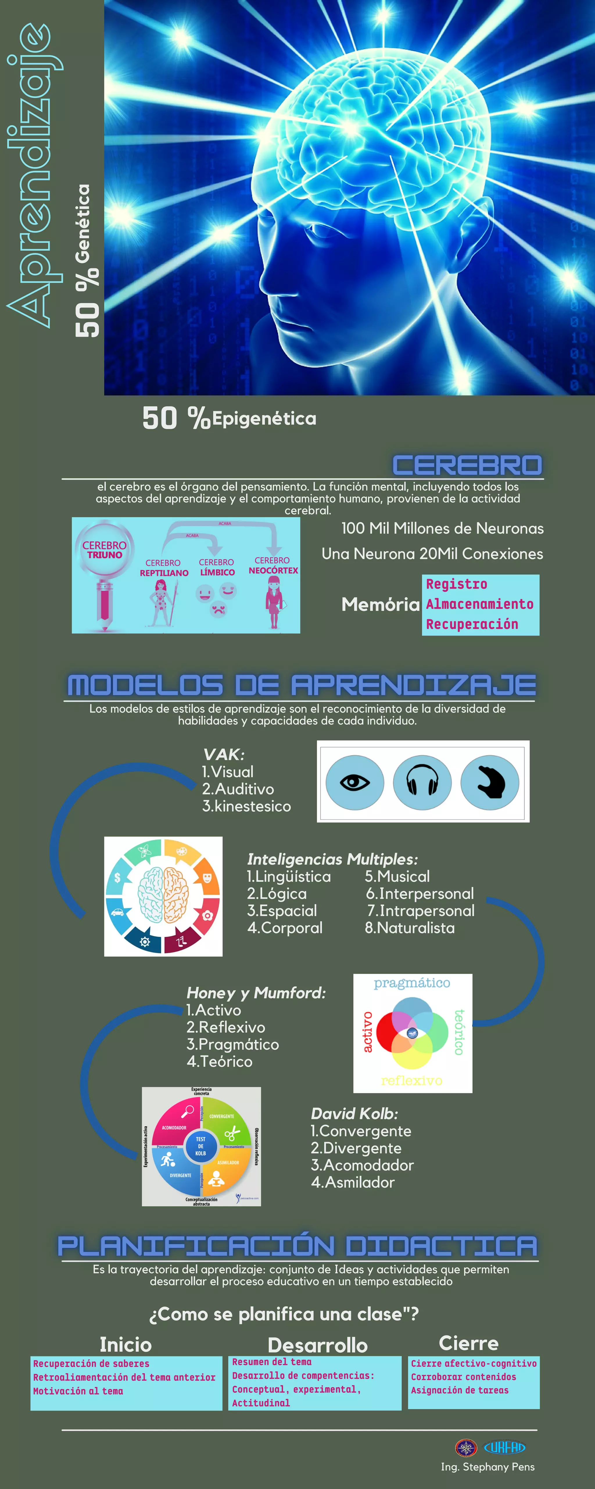 Aprendizaje: Cerebro, modelos de estilo de aprendizaje y planificación didactica | PDF