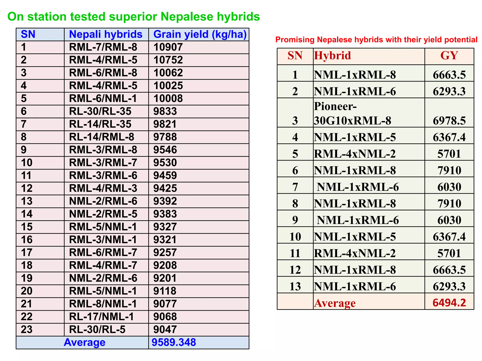 Maize Research and Development in Nepal: Status, Challenges and new Intervention Initiatives | PDF