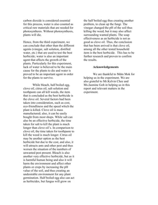 5000 word essay | DOC
