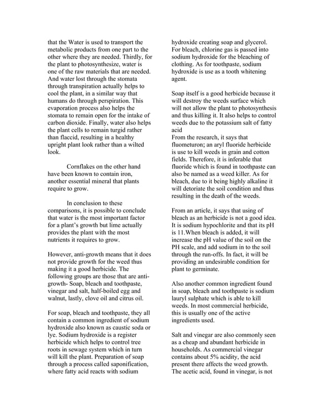 5000 word essay | PDF | Free Download