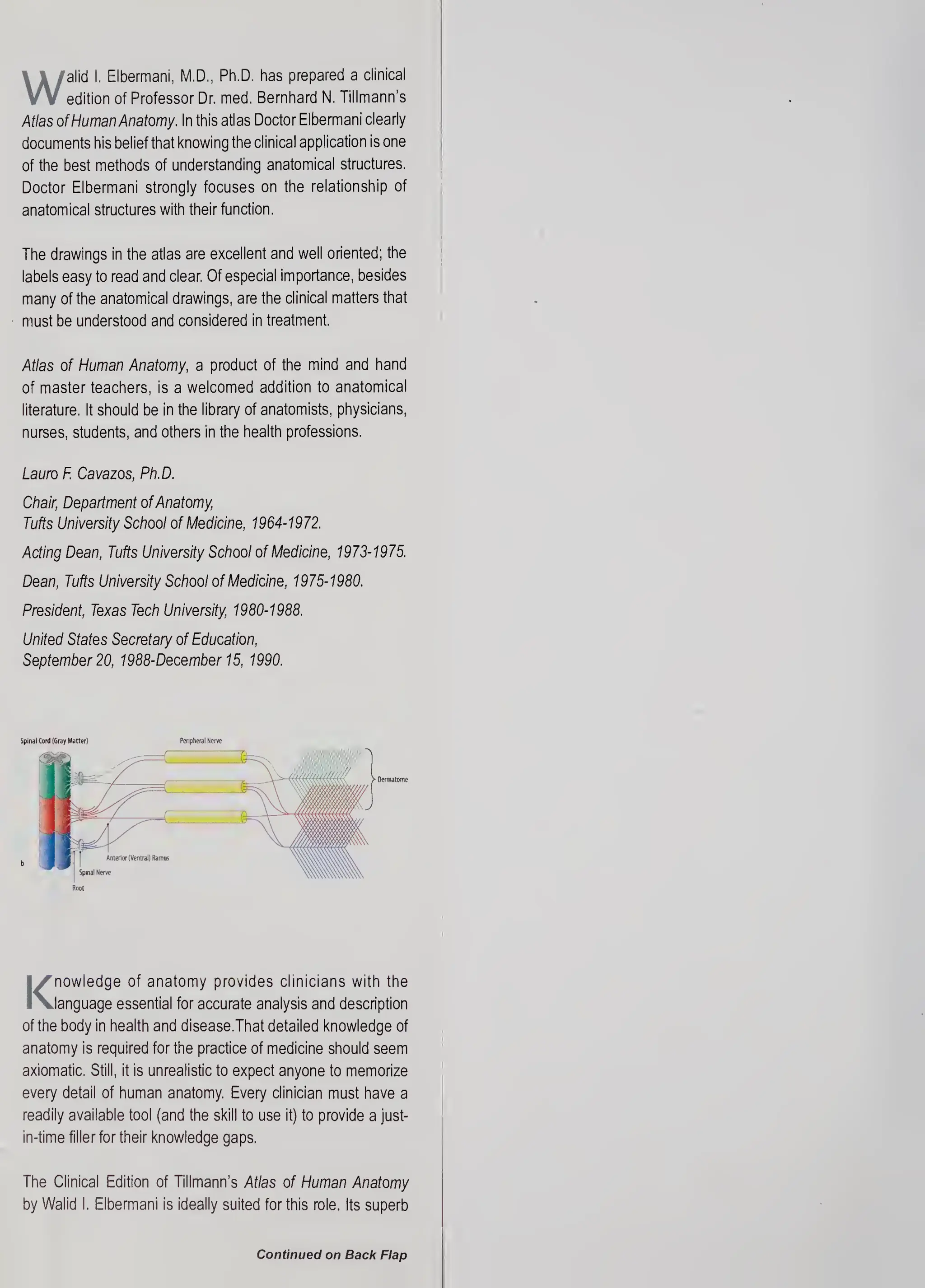 Atlas Of Human Anatomy Clinical Edition Elbermani Walid Franke | PDF