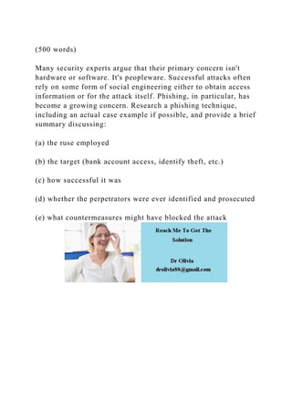 (500 words)Many security experts argue that their primary concer.docx