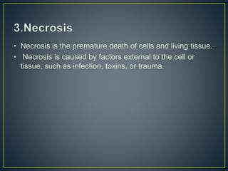 Pathology Important Terms and Definitions | PPTX