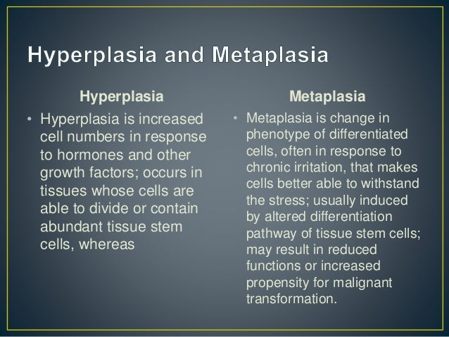 Pathology Important Terms and Definitions