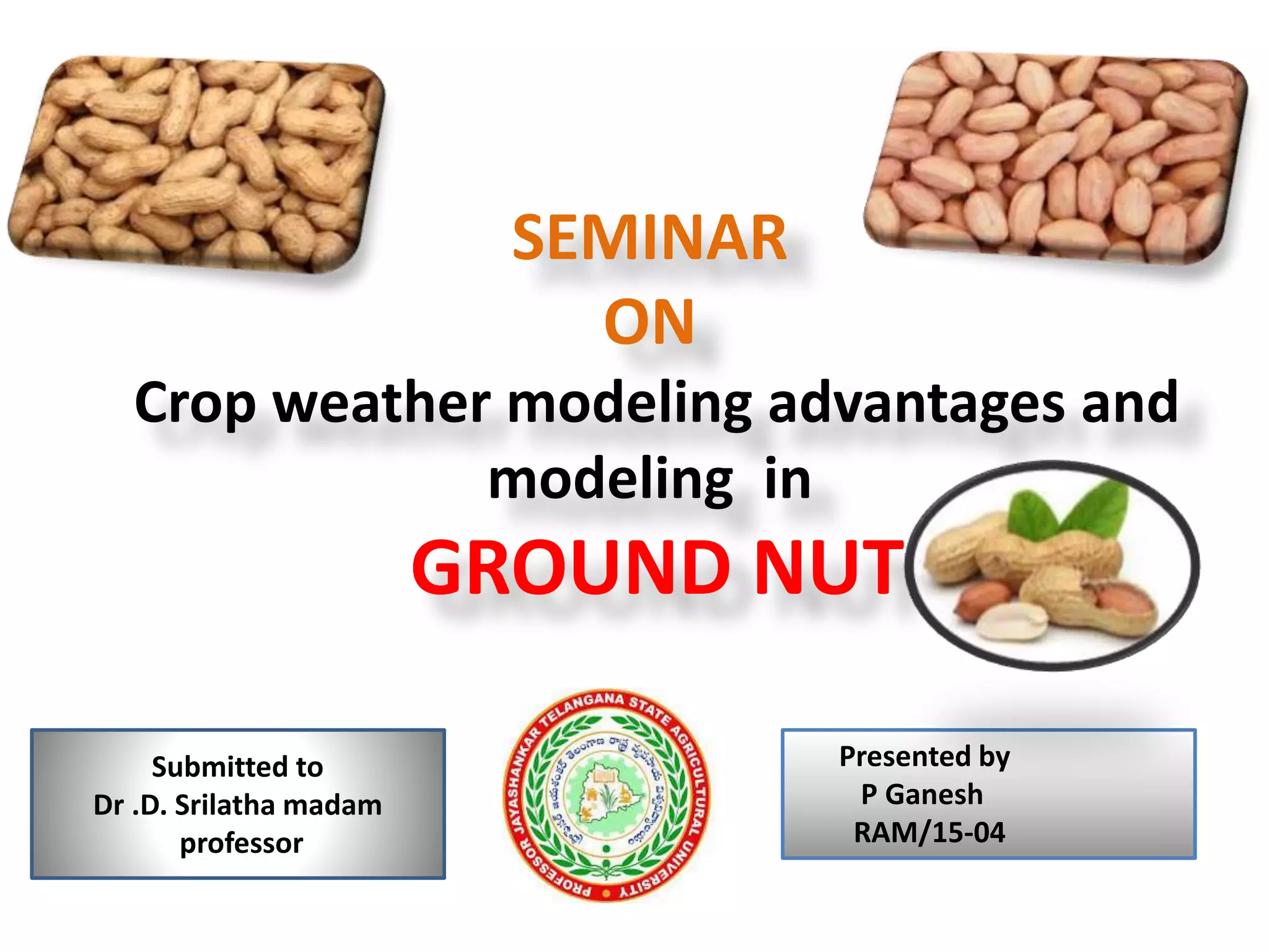 crop modelling basics in groundnut | PPTX | Agriculture | Industries