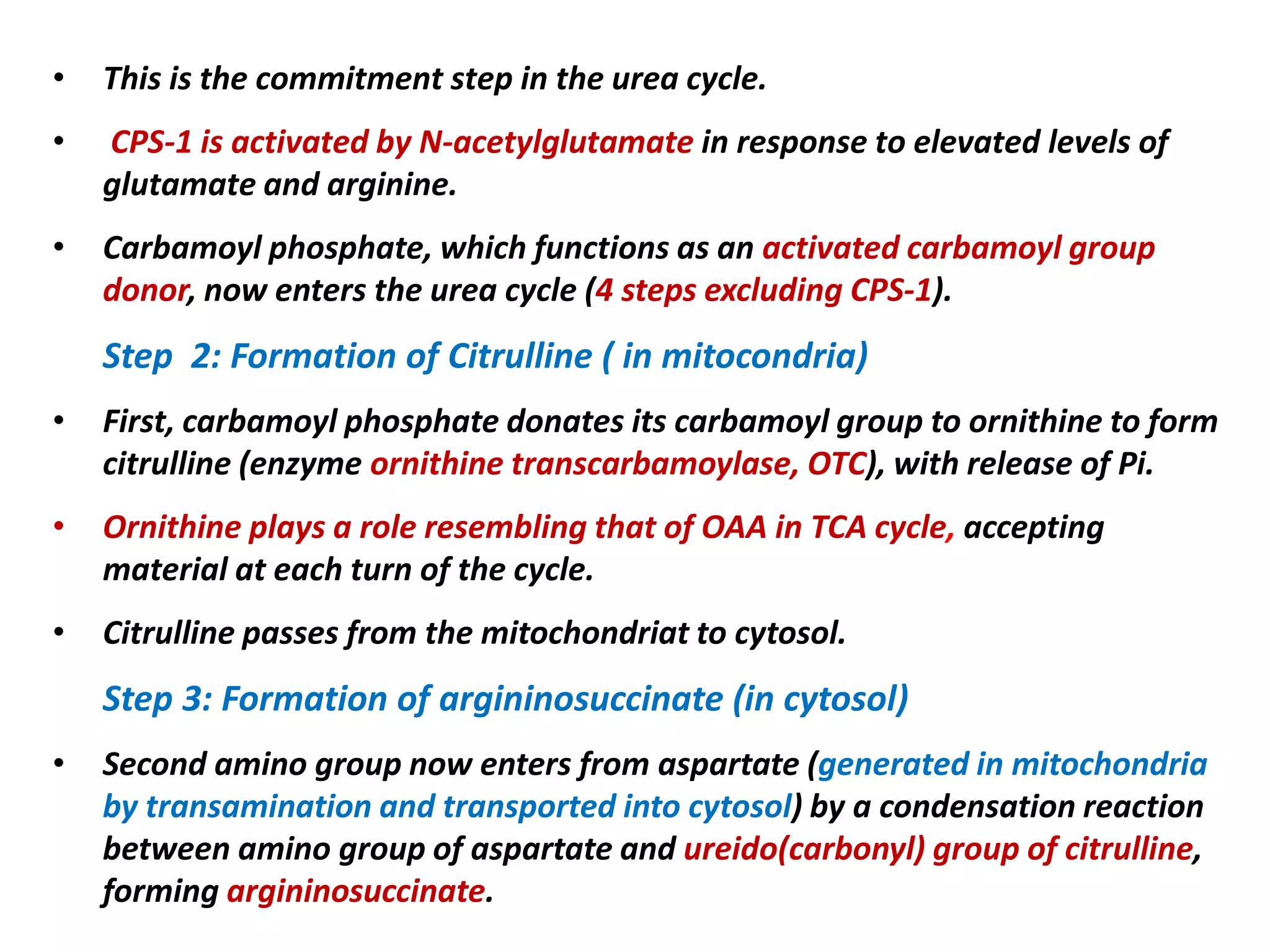 Urea cycle, Biochemistry, Human Excretory system | PPT