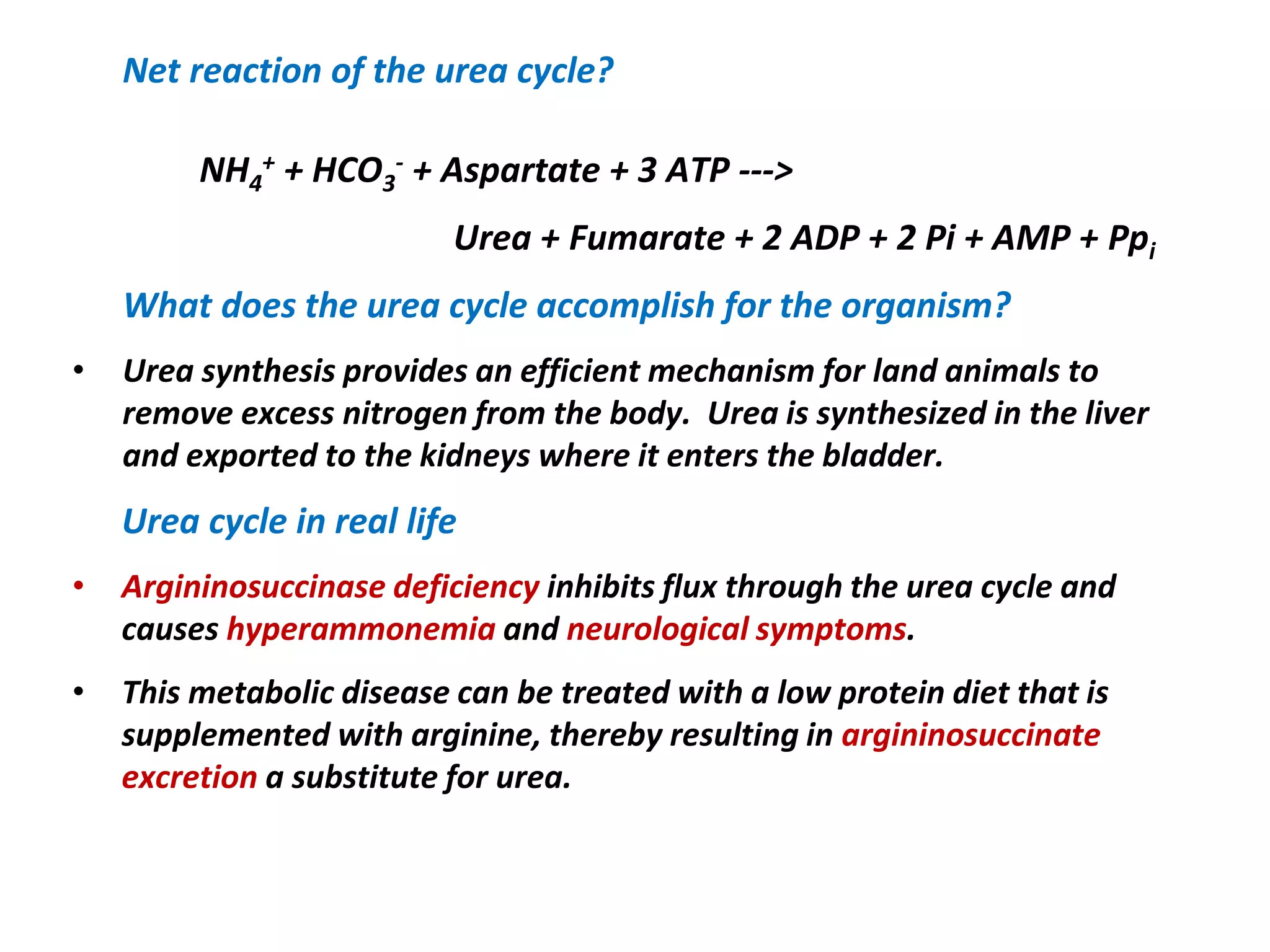 Urea cycle, Biochemistry, Human Excretory system | PPT